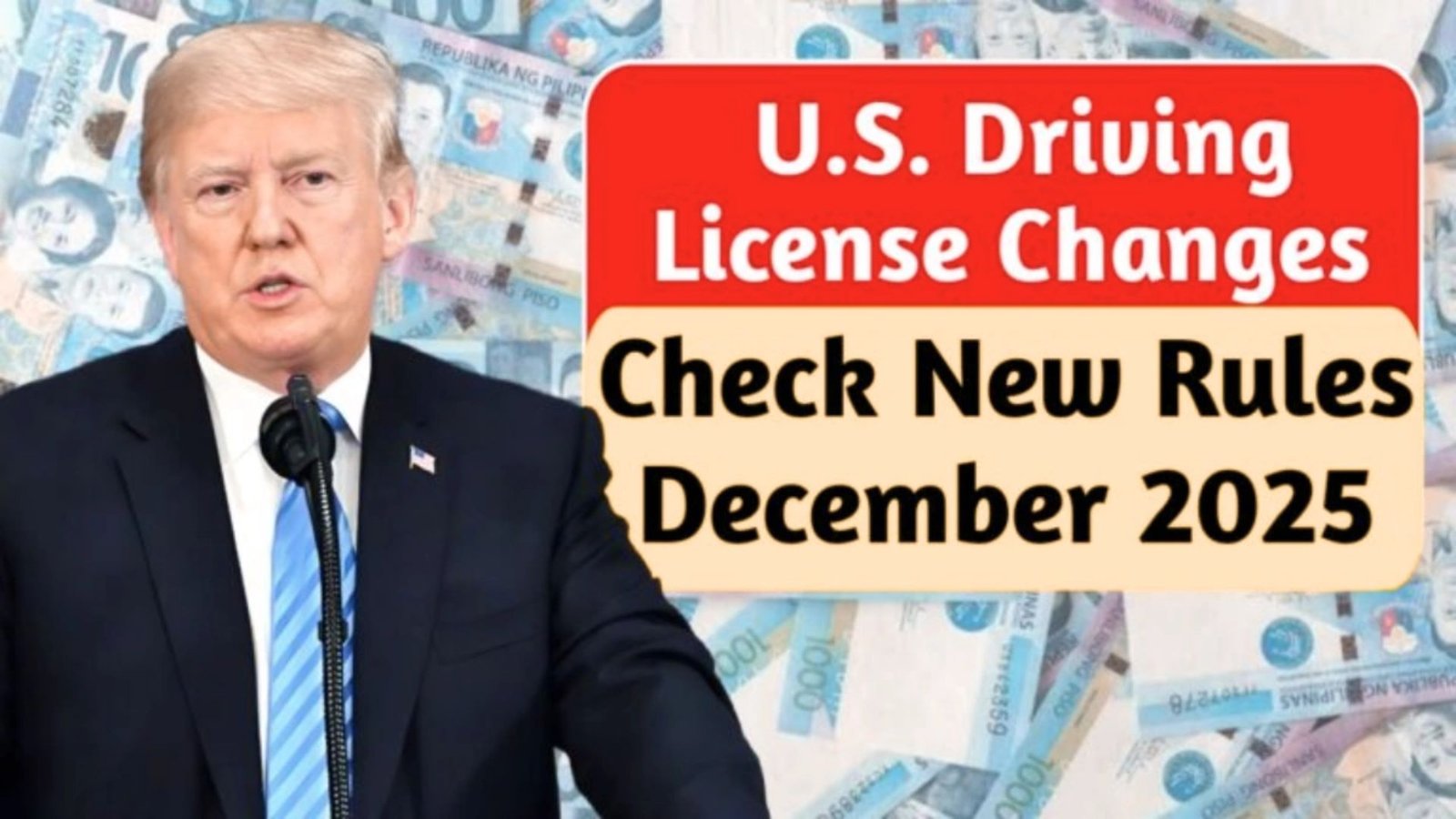 U.S. Driving License Changes 2025: New Rules Coming Into Effect This ...